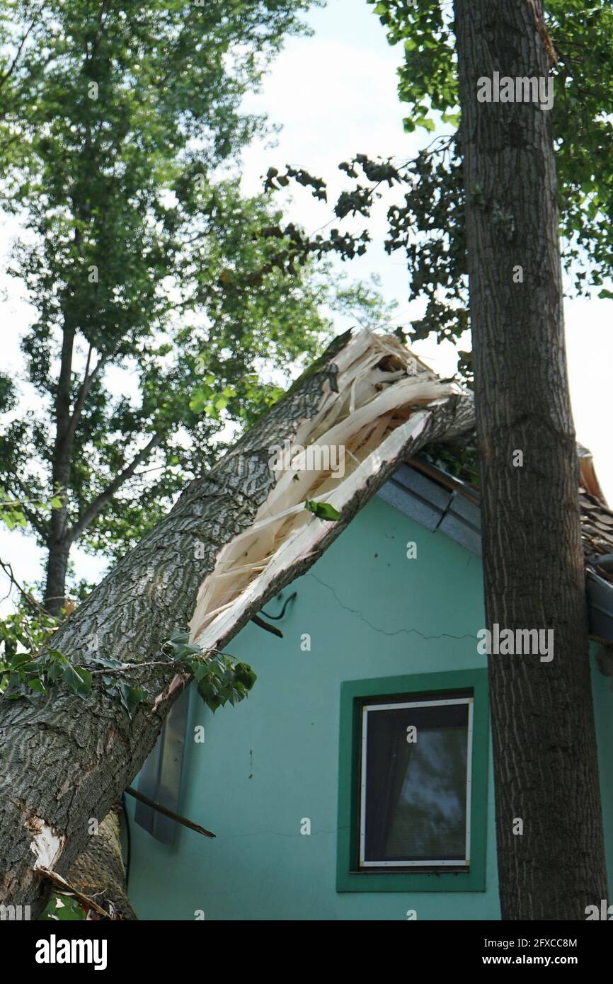 House crushed by tree hi-res stock photography and images - Alamy