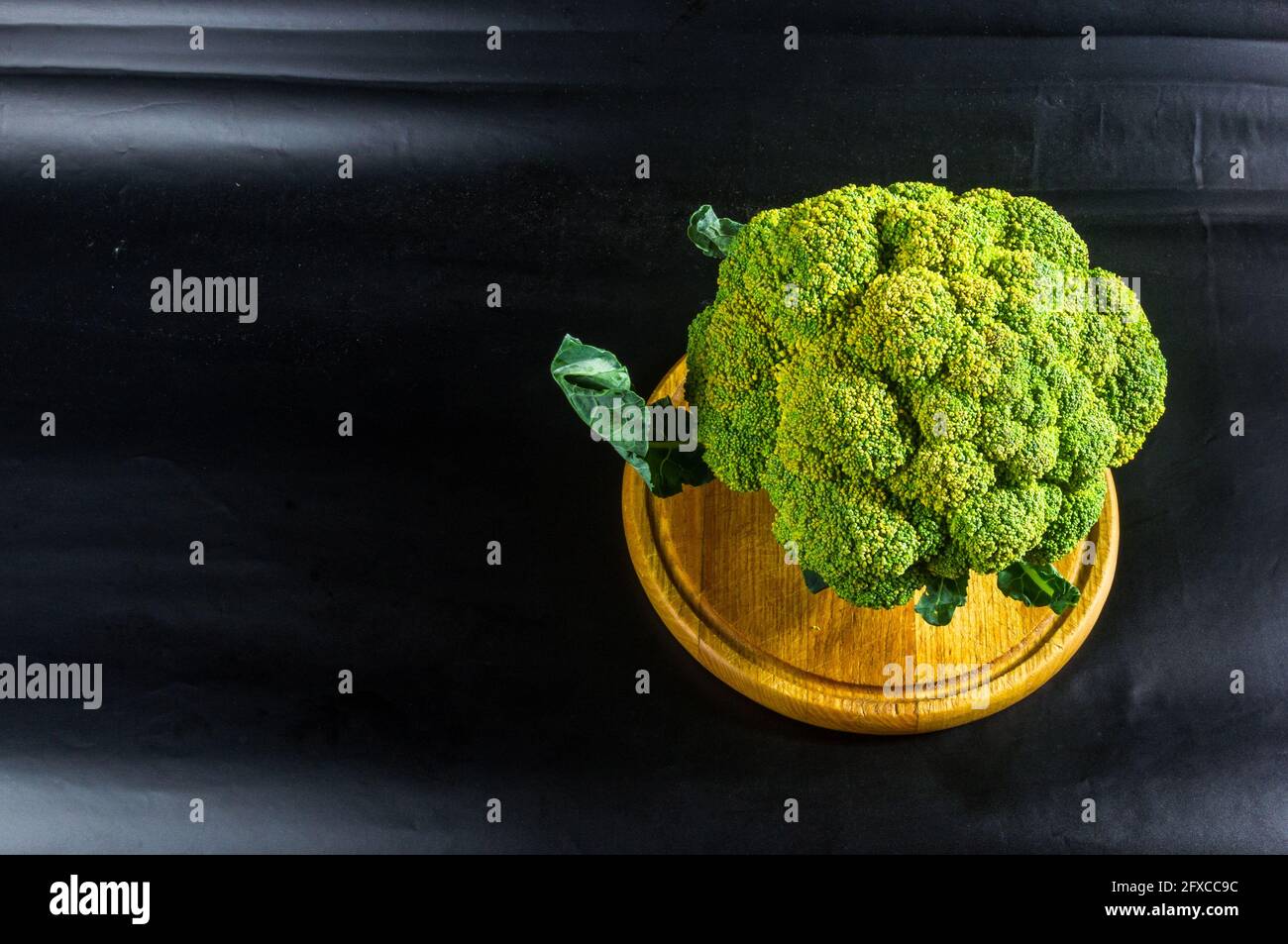 Fantasy mini landscape - tree made with broccoli on a black background ...
