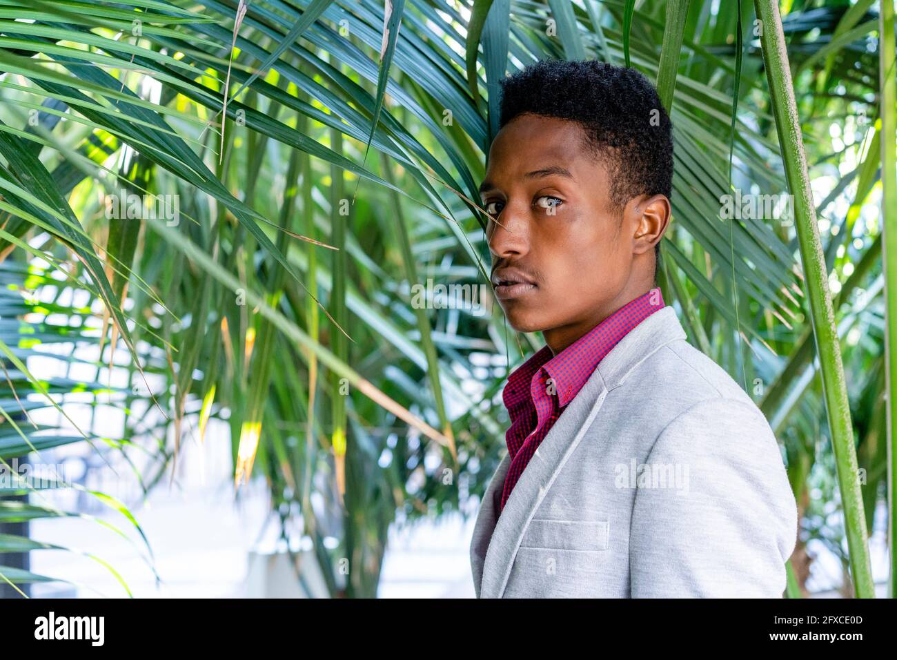 Sideways growth hi-res stock photography and images - Alamy