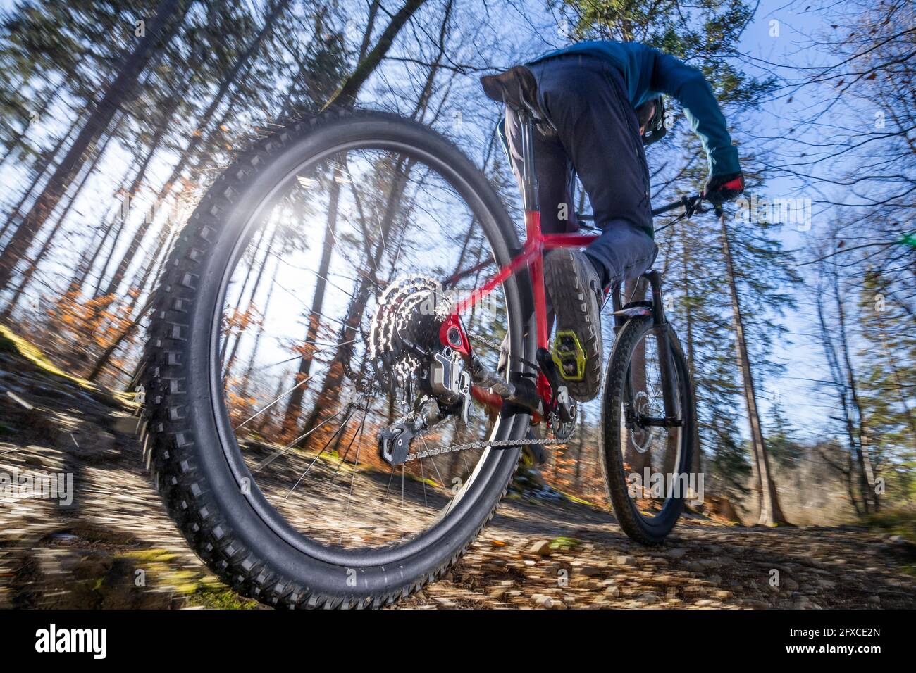 Male athlete cycling in hi-res stock photography and images - Alamy