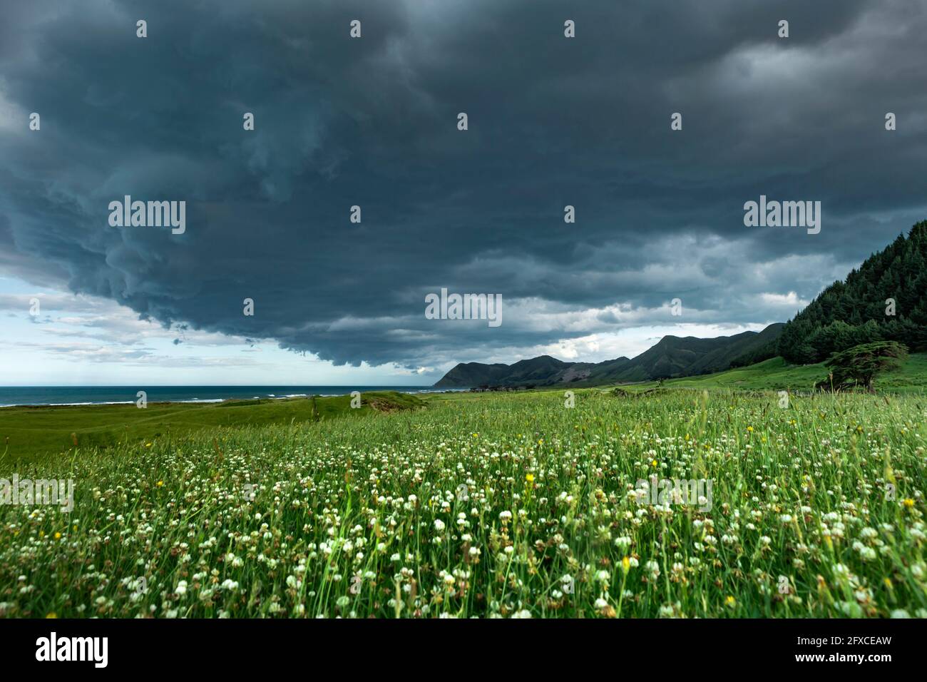 Gray storm clouds hi-res stock photography and images - Alamy
