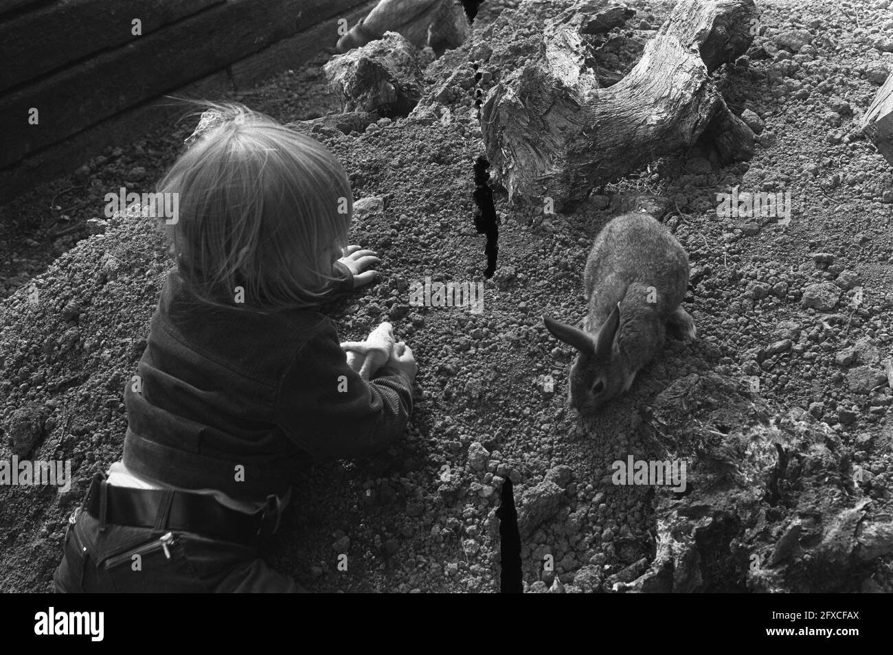 Children play with rabbits at zoo, June 8, 1972, zoos, children ...