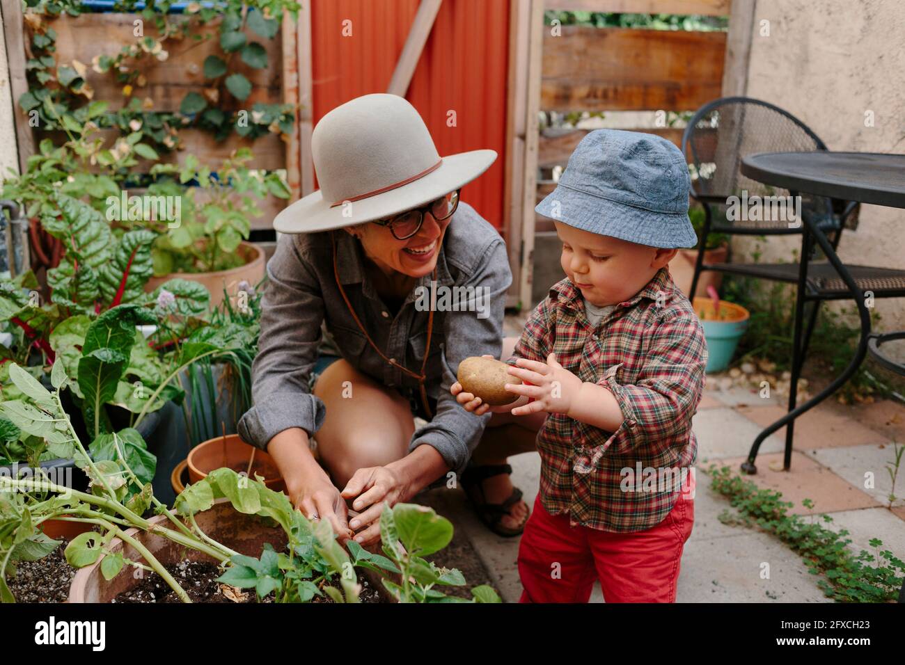 Happy potato family hi-res stock photography and images - Alamy