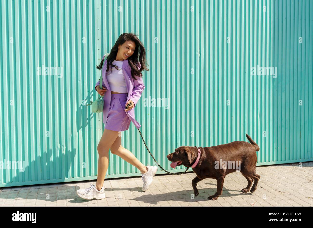Female walking labrador hi-res stock photography and images - Alamy