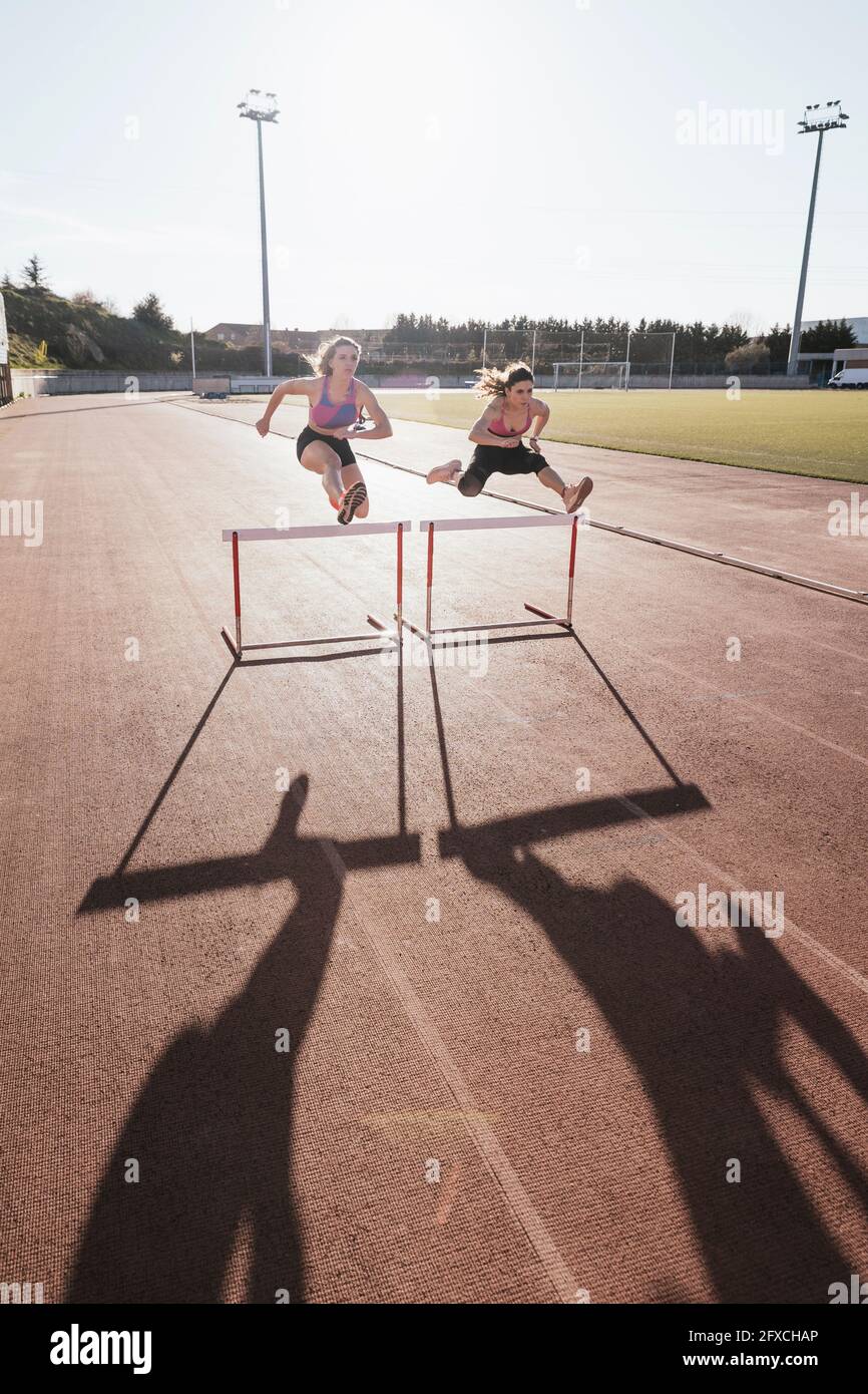 Young female athletes jumping over hurdle on training grounds Stock ...