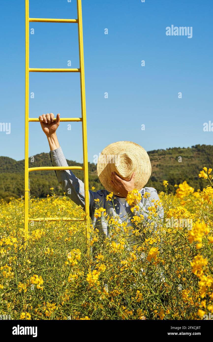 Man holding ladder while covering face with straw hat in field Stock ...