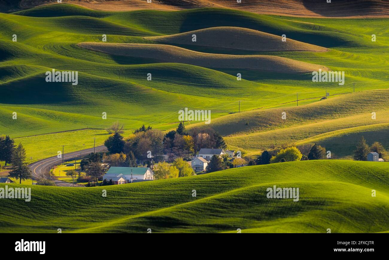 View of beautiful farm land rolling hills from Steptoe Butte Park in ...