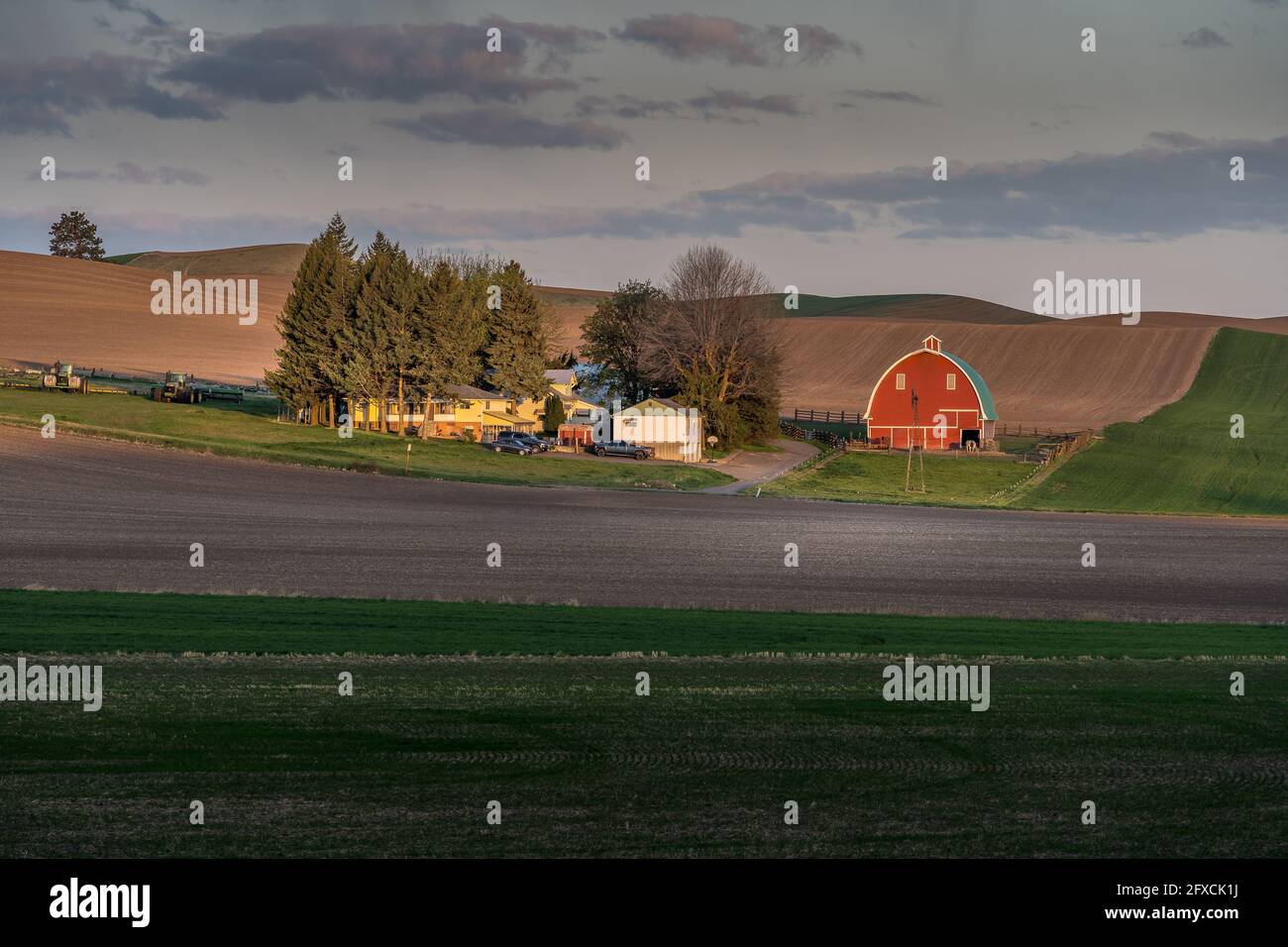 Red barn in the middle of farming land in Palouse Washington Stock ...
