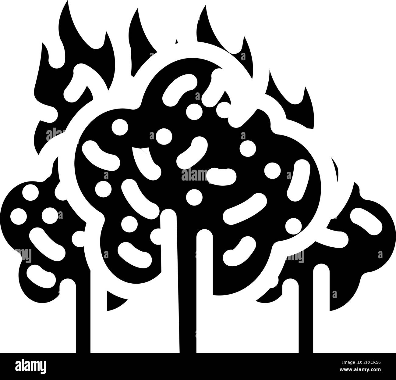 Fire rain forest Black and White Stock Photos & Images - Alamy