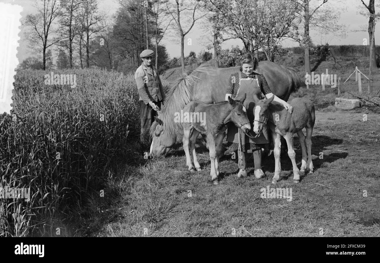 Farmer nijhof hi-res stock photography and images - Alamy
