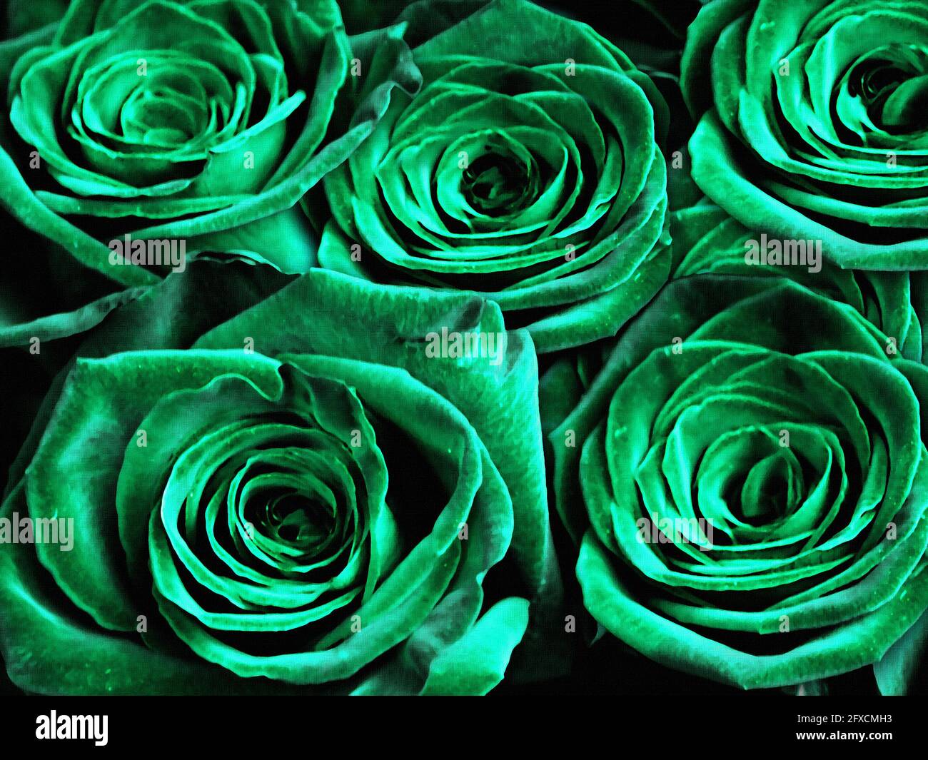 Colorful rose composition in green. 3D rendering Stock Photo - Alamy