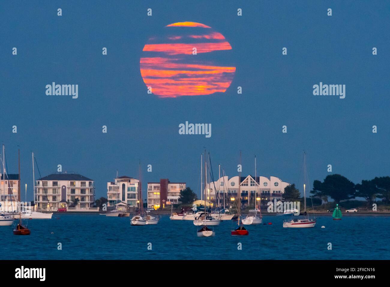 Poole, Dorset, UK. 26th May 2021. UK Weather. The full flower super ...