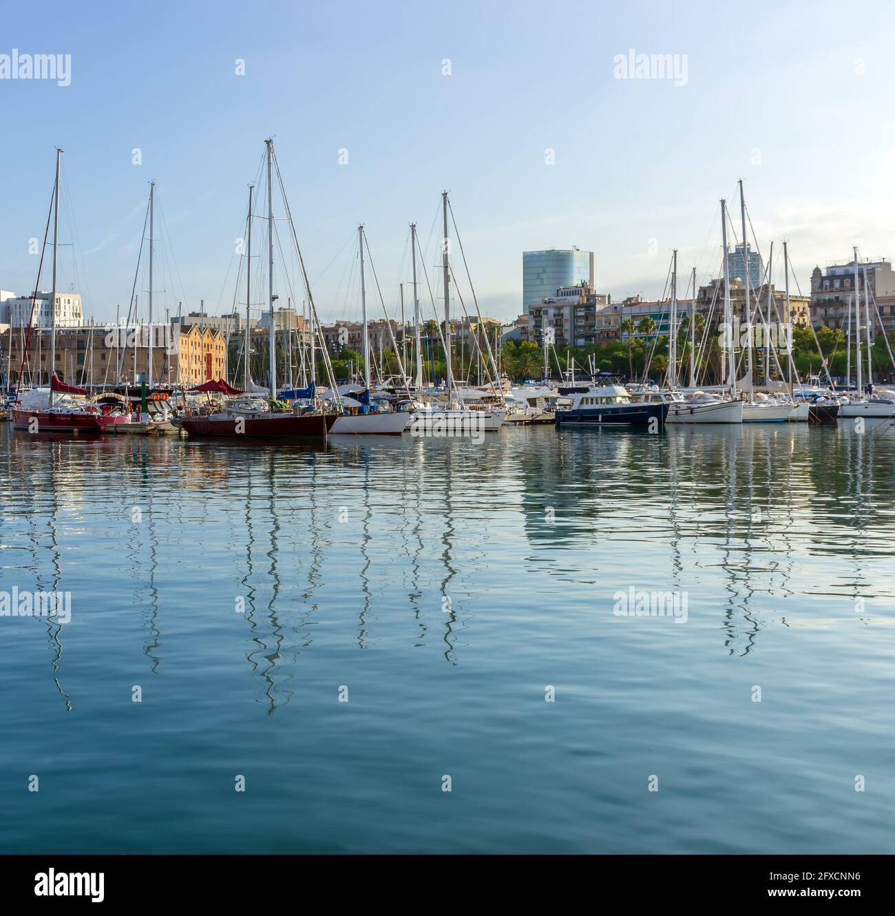 Yacht sailing club. Sailing cruising sailboat Luxury Yachting Stock ...