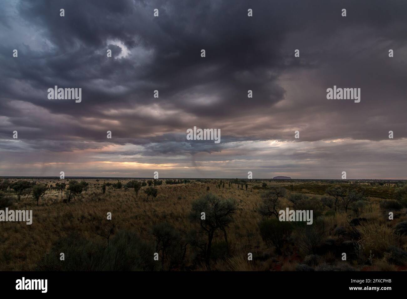 A gorgeous view of vast purple-gray clouds over a dry field of grass ...
