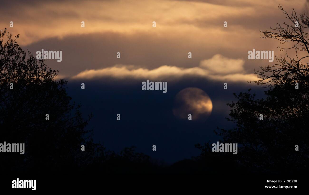 UK Weather: Low level cloud makes for poor visibility to view tonight’s ...