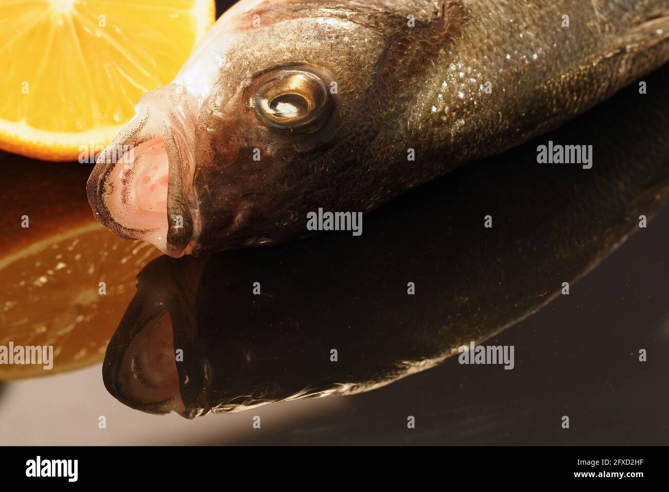 Fish seabass hi-res stock photography and images - Alamy