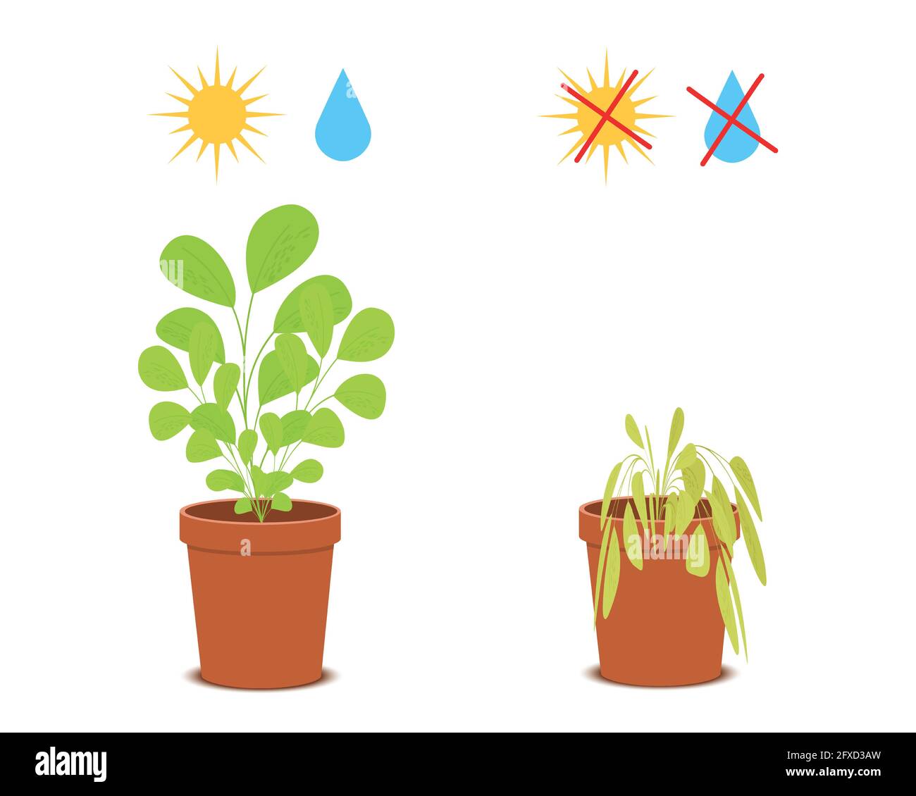 Wilted house plant Stock Vector Images - Alamy