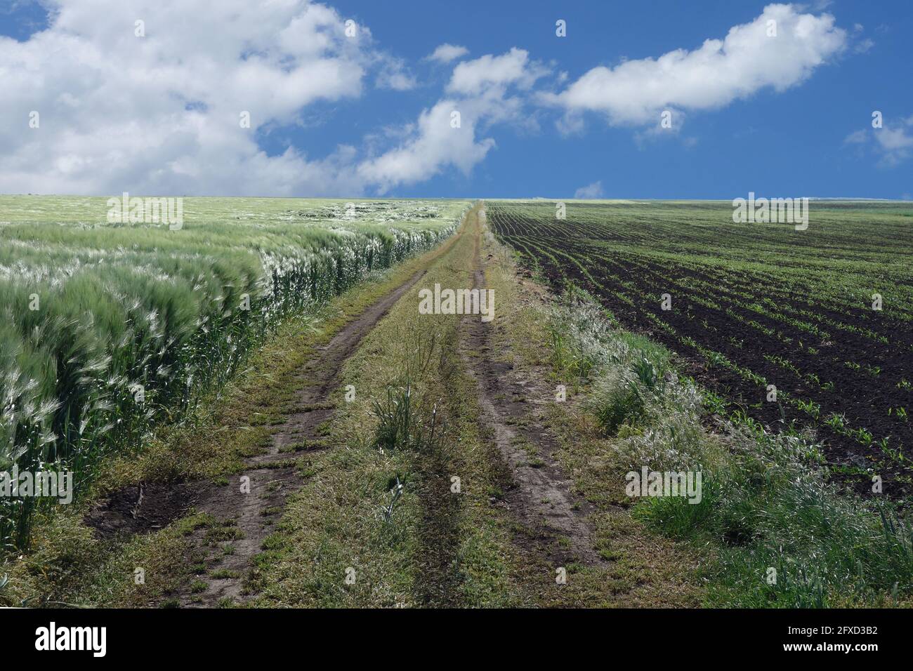 Plain road hi-res stock photography and images - Alamy