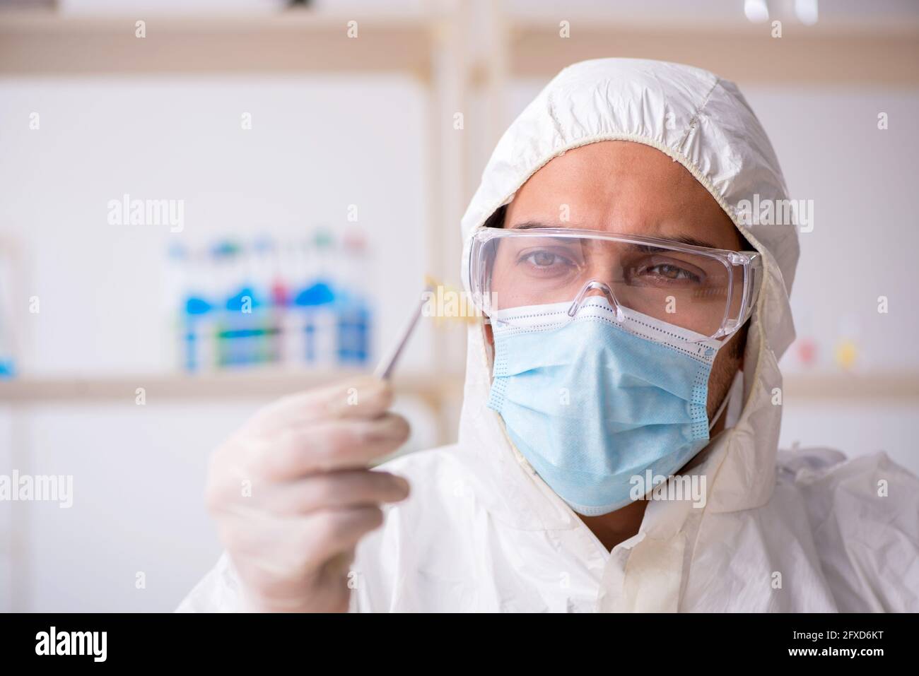 Young chemist zoologist working at the lab during pandemic Stock Photo ...