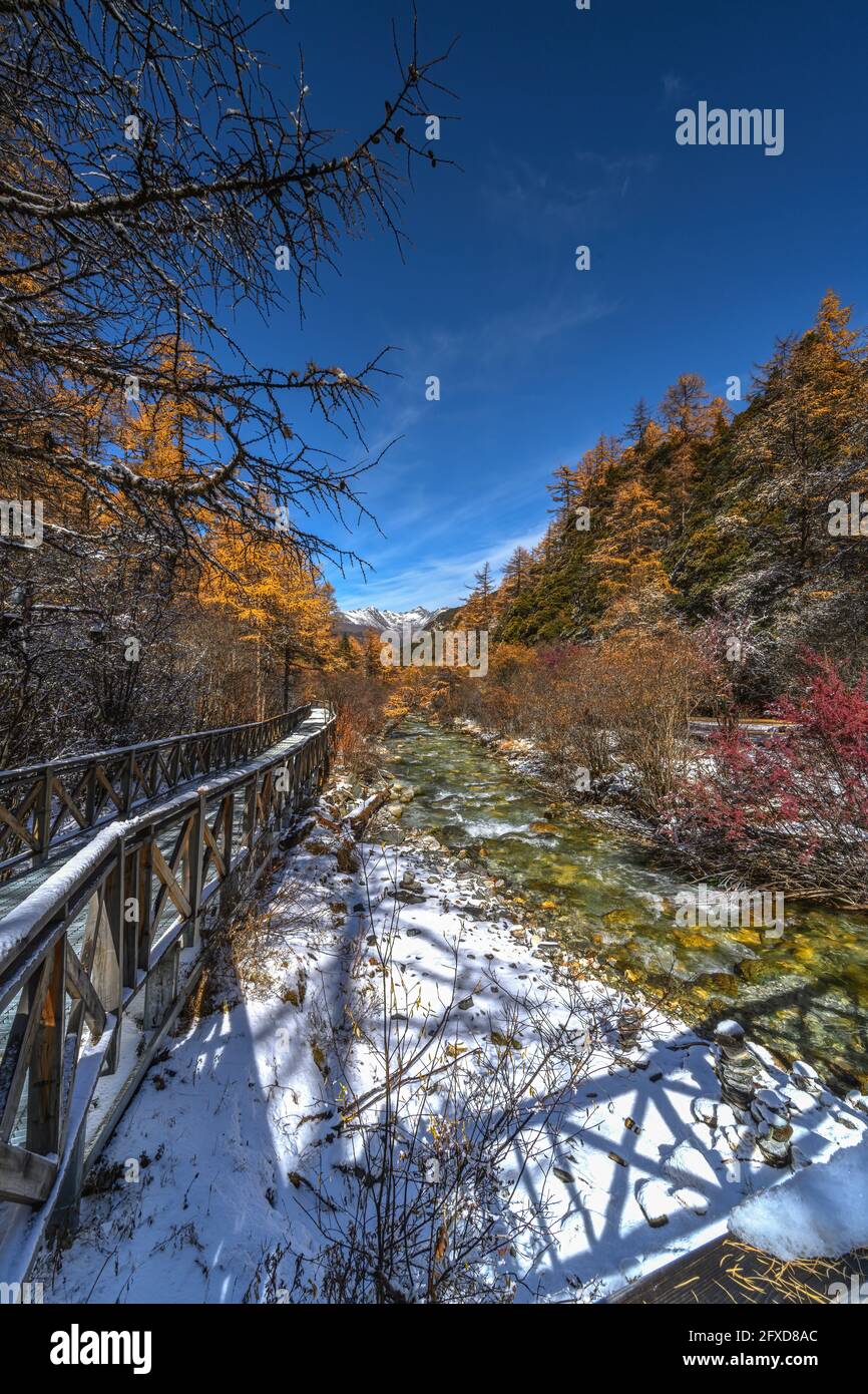 winter is magic Stock Photo - Alamy