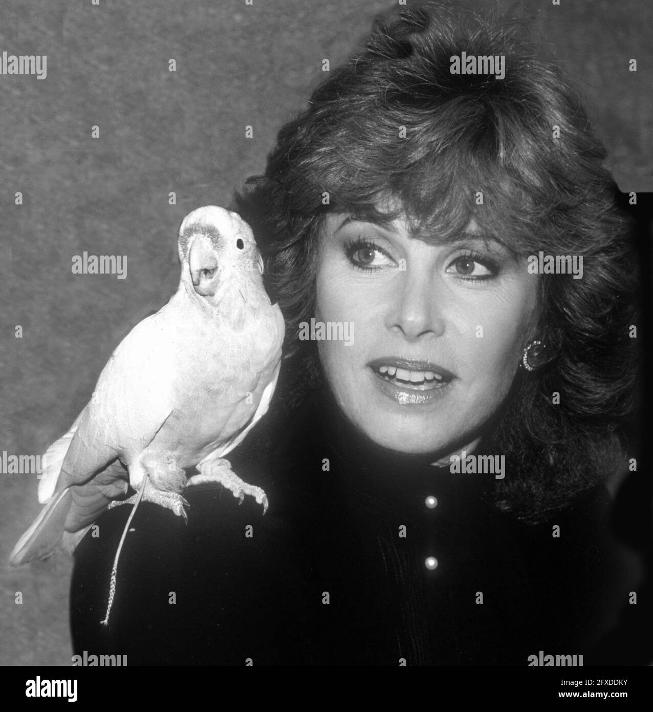 Stephanie Powers 1982 Photo by Adam Scull/PHOTOlink Stock Photo - Alamy