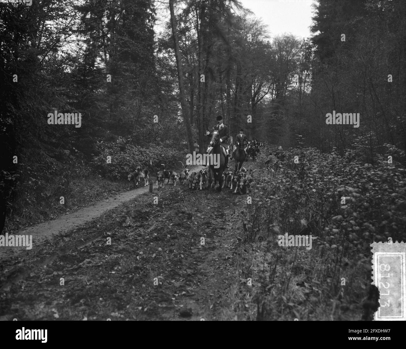 St. Hubertus hunt at Oud Leusden, November 3, 1956, The Netherlands ...