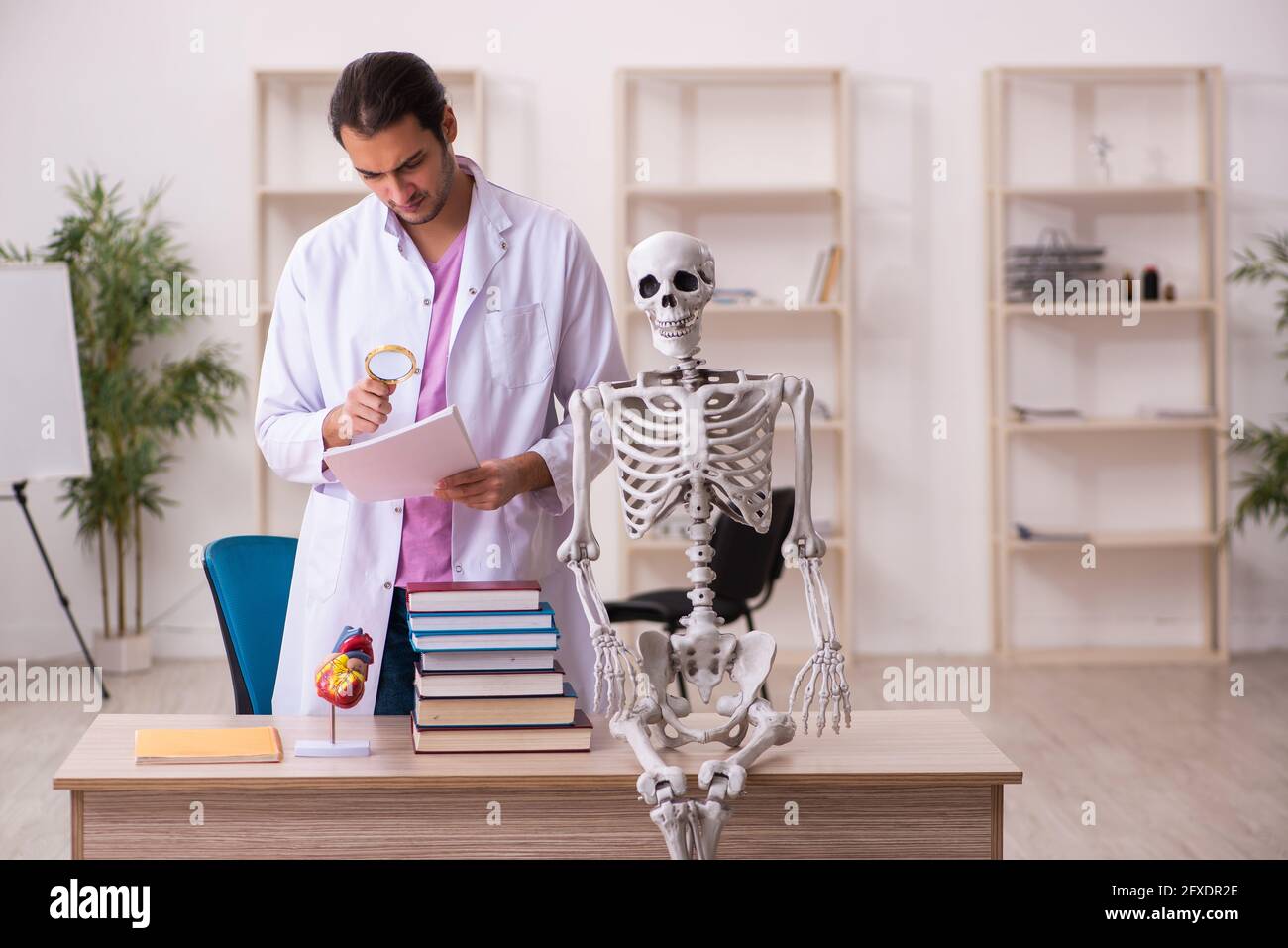 Young doctor student studying human skeleton in the classroom Stock ...