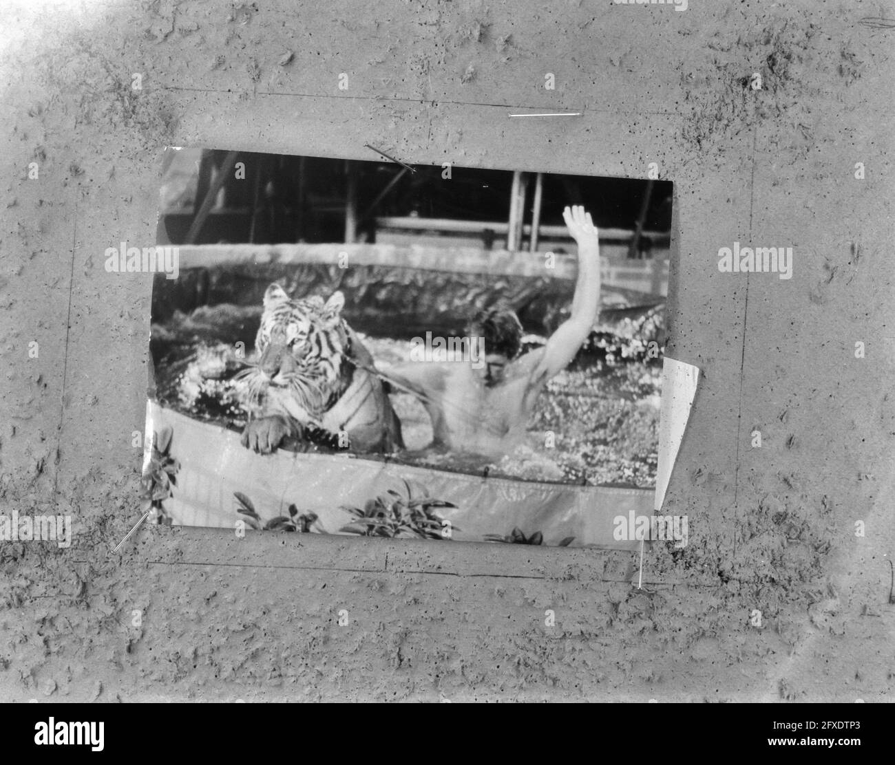 Human tower pool hi-res stock photography and images - Alamy