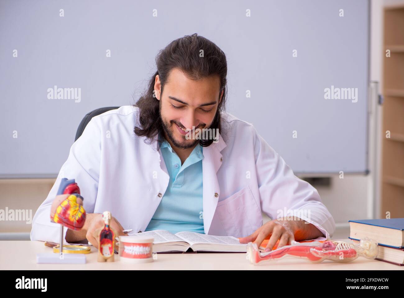 Young student studying human anatomy Stock Photo - Alamy