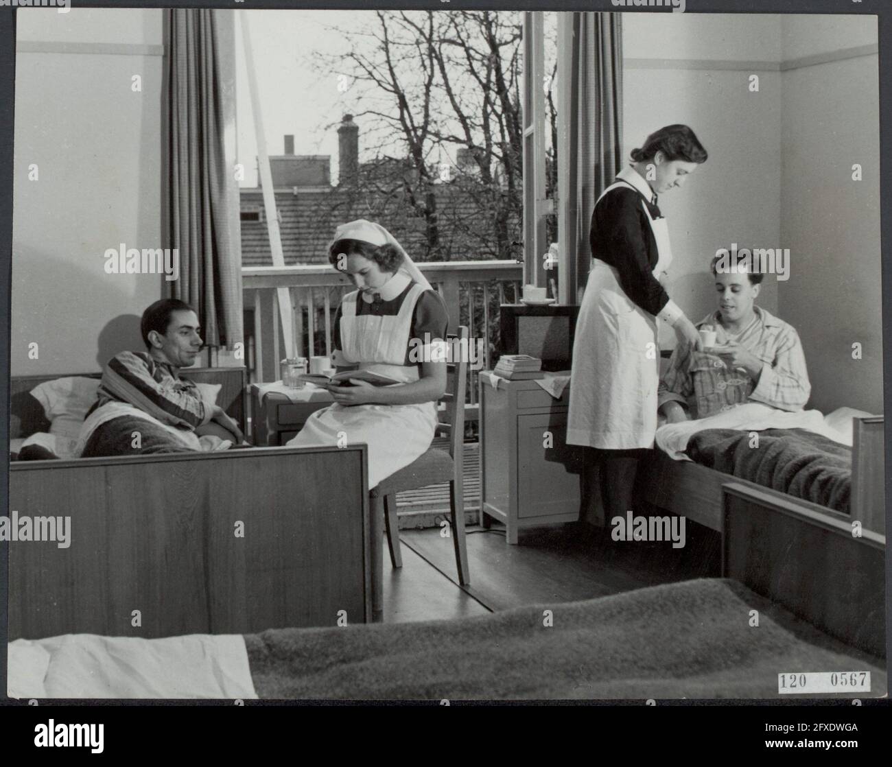 Foundation 1940 1945 convalescent home paleis het loo hi-res stock ...