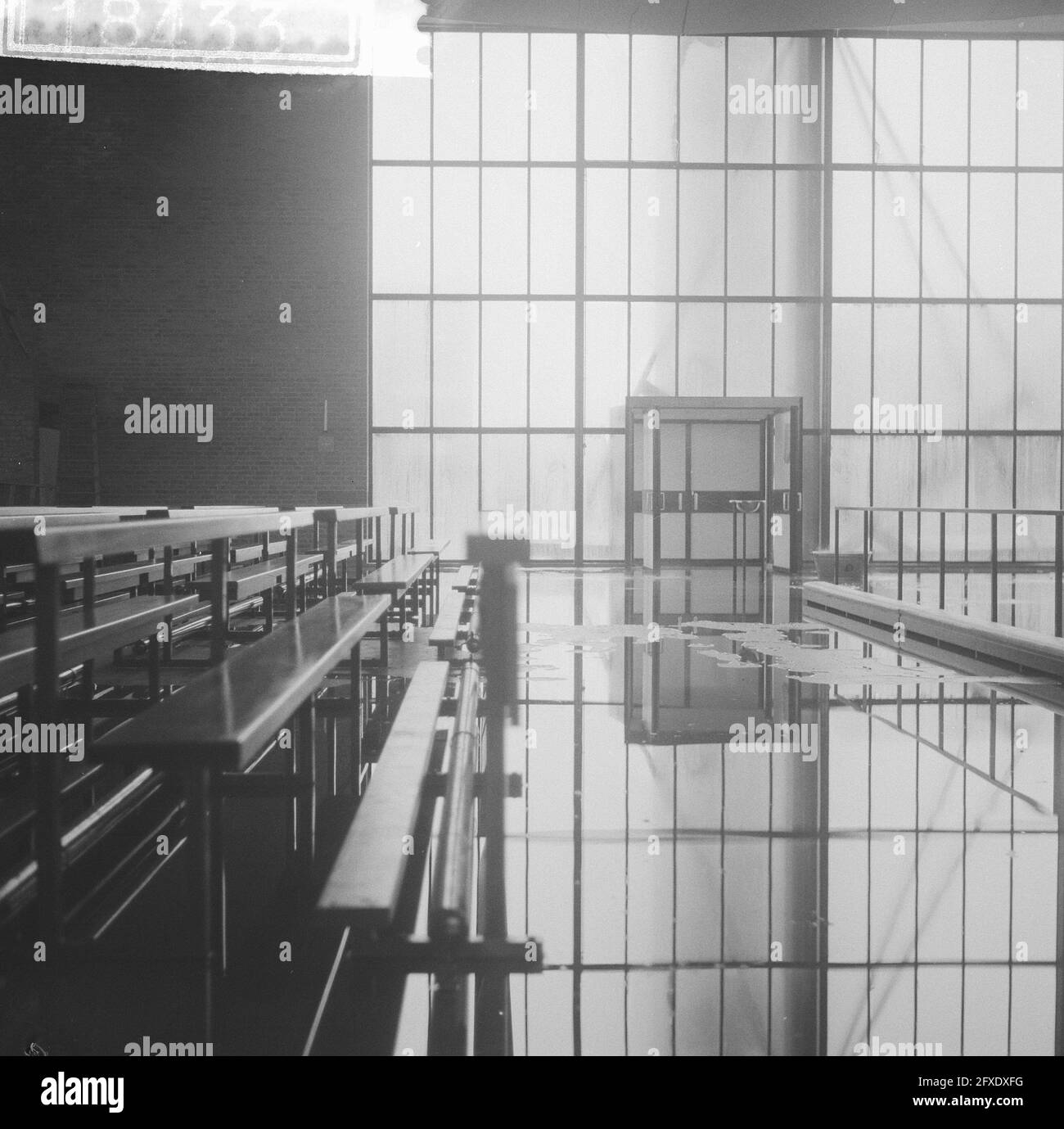 Maria Regina High Resolution Stock Photography and Images - Alamy