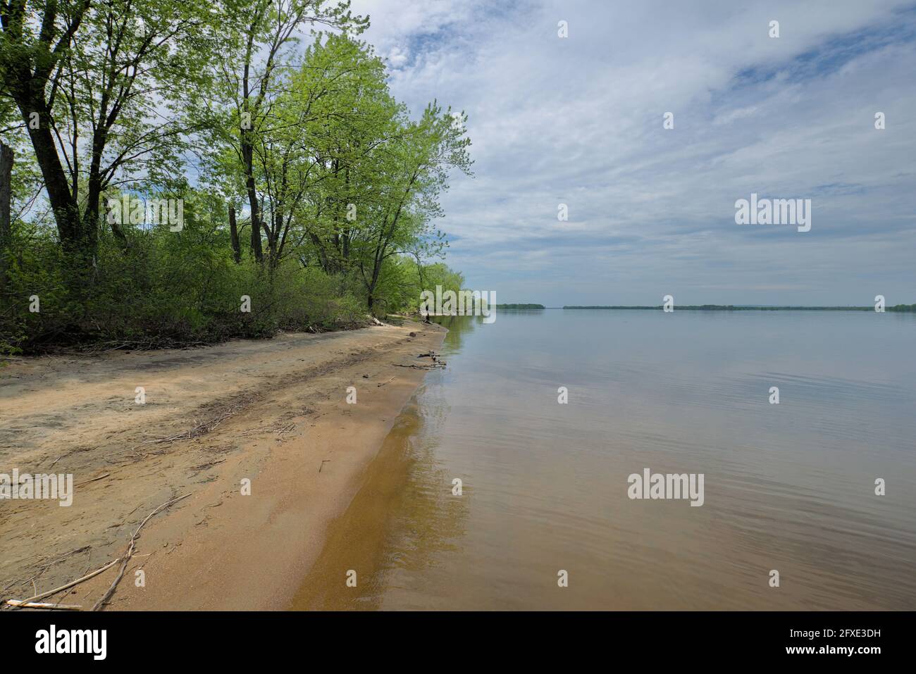 Petrie island beach hi-res stock photography and images - Alamy