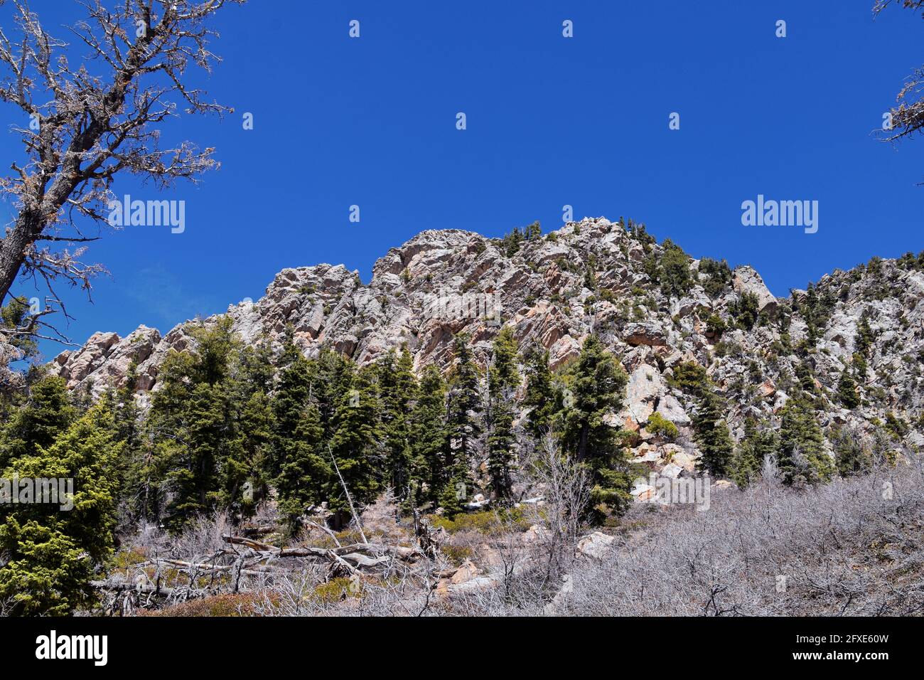 Wasatch Front Mount Olympus Peak hiking trail inspiring views in spring ...