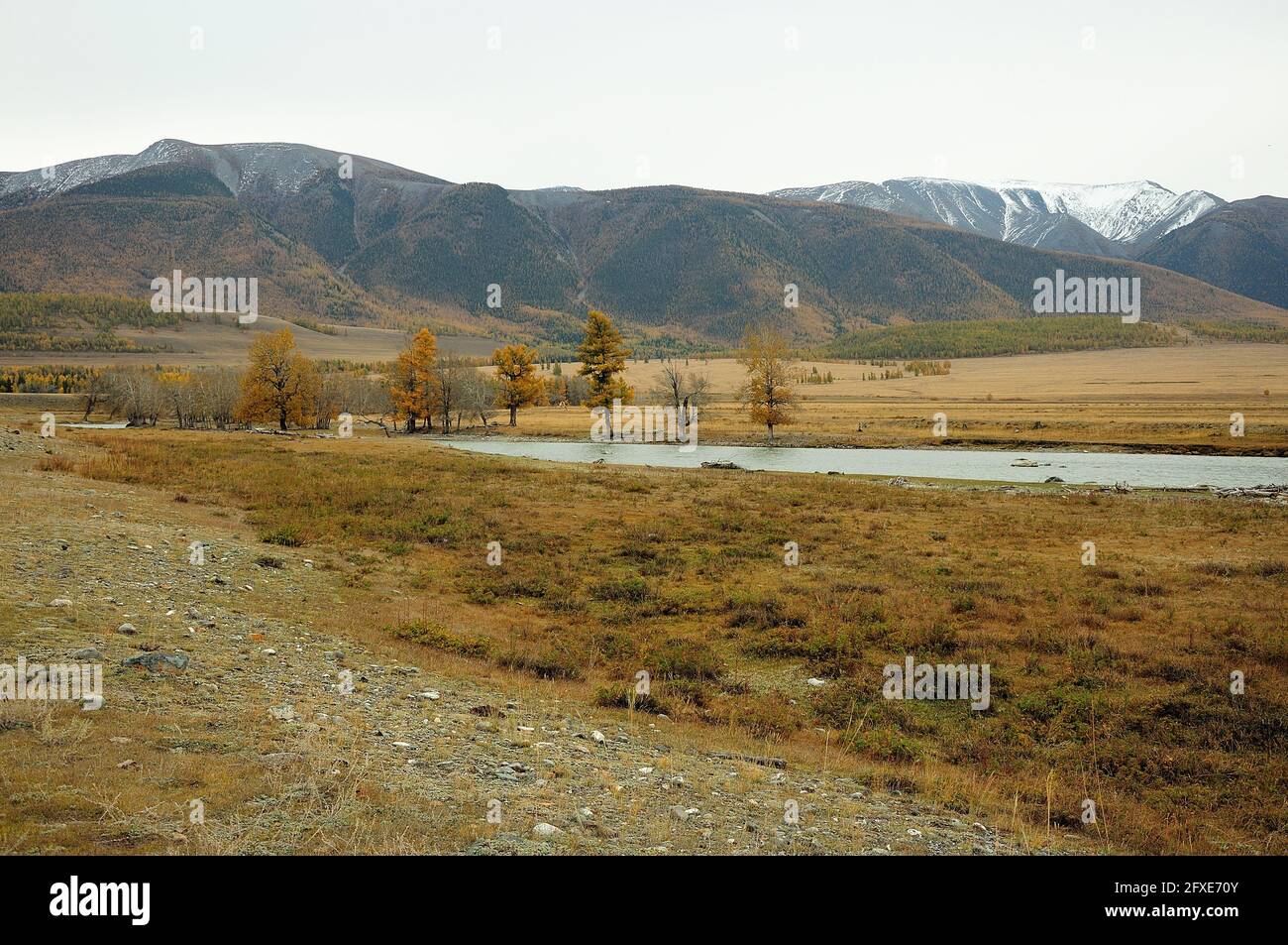 River flowing through steppe hi-res stock photography and images - Alamy