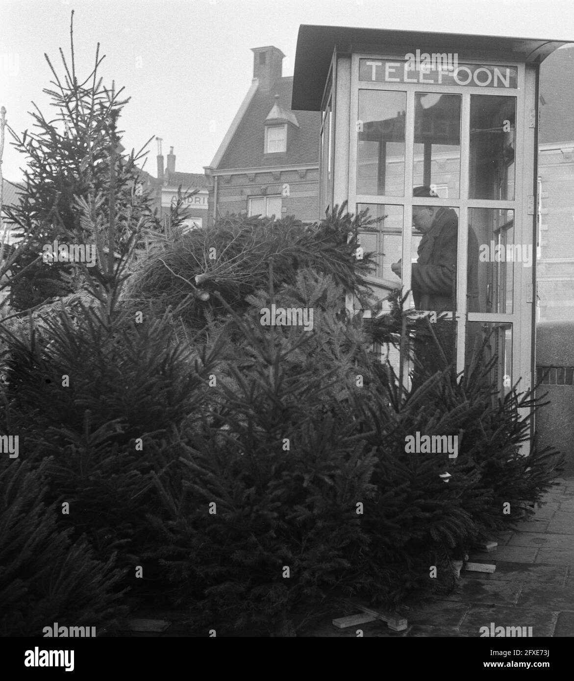 Telephone booth with Christmas trees, December 16, 1951, CHRISTMAS ...