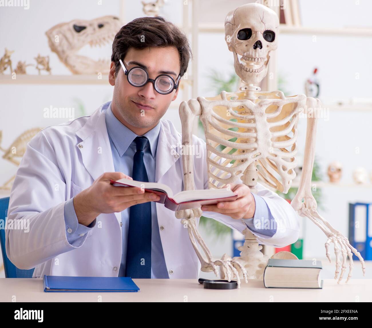 Academic professor studying human skull hi-res stock photography and ...