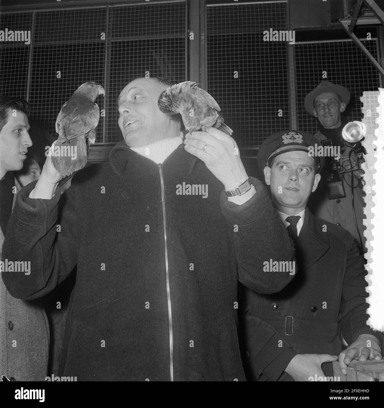 Return of parrots for Artis from Germany, February 21, 1957, parrots ...