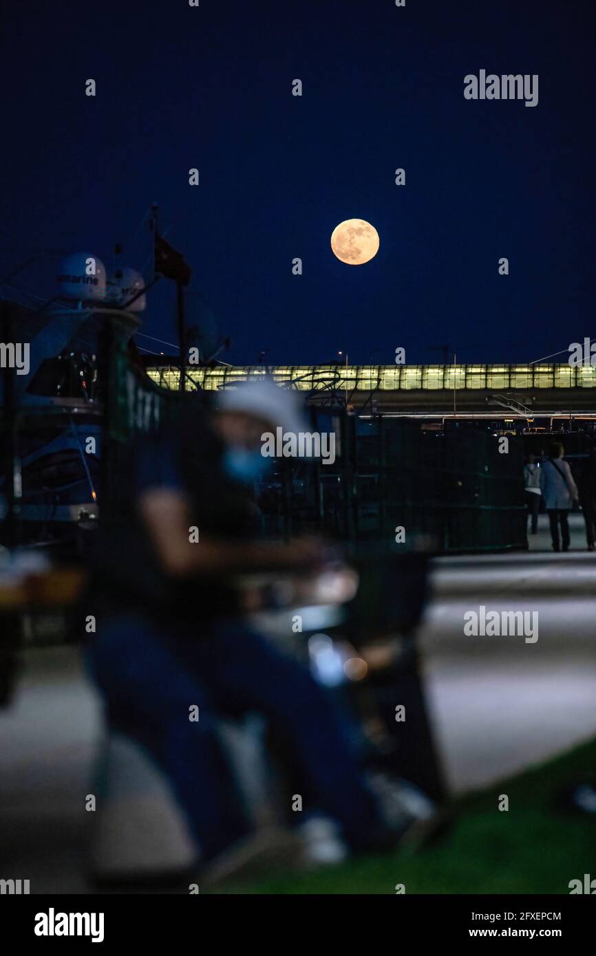 A man looking at his phone in a park on the Golden Horn shore of ...