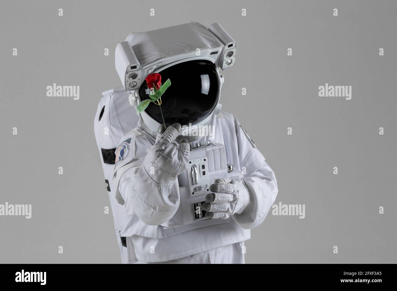 Astronaut handing roses, white background Stock Photo - Alamy