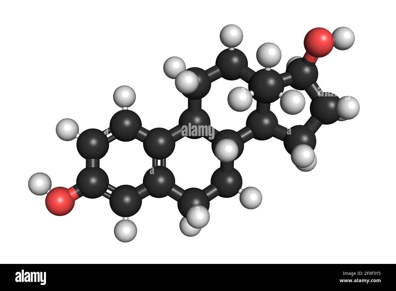 Estrogen Molecule Progesterone Female Sex Hormone Skeletal Chemical