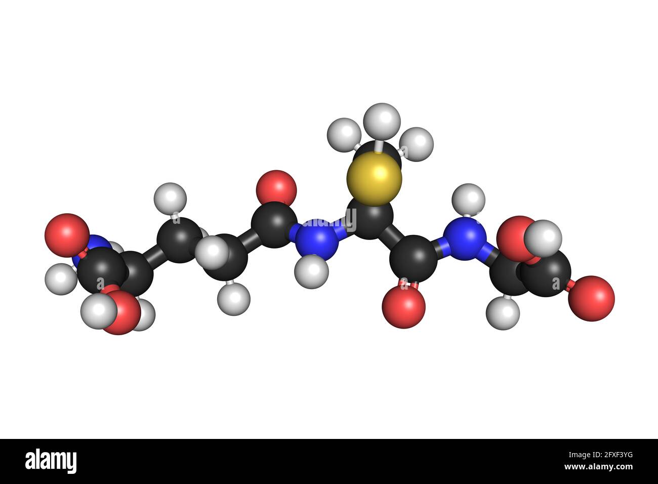 Glutathione molecular hi-res stock photography and images - Alamy