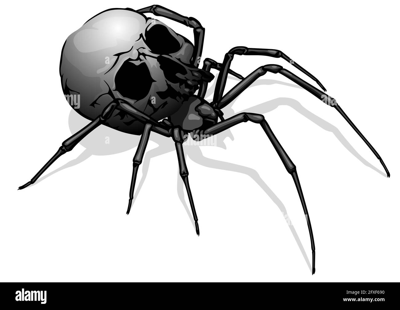 Human skull with spider hi-res stock photography and images - Alamy