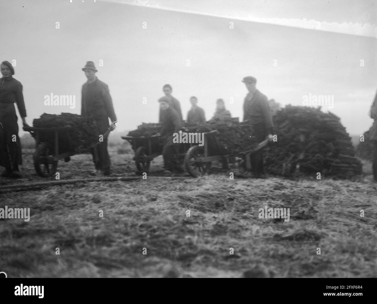 Peat extraction netherlands hi-res stock photography and images - Alamy