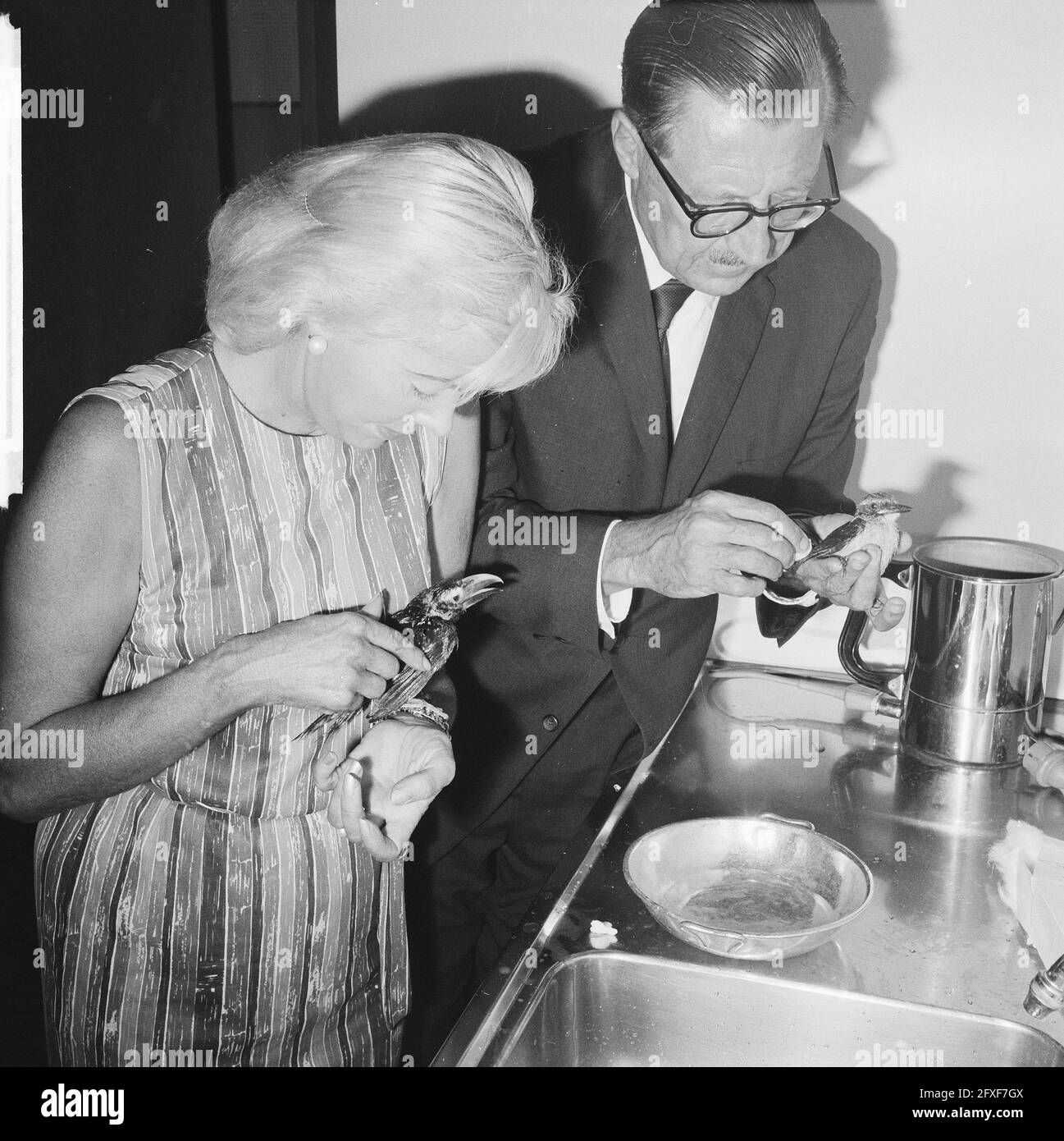 TV couple Armand and Michaela Denis of the program Leopard on the lap ...