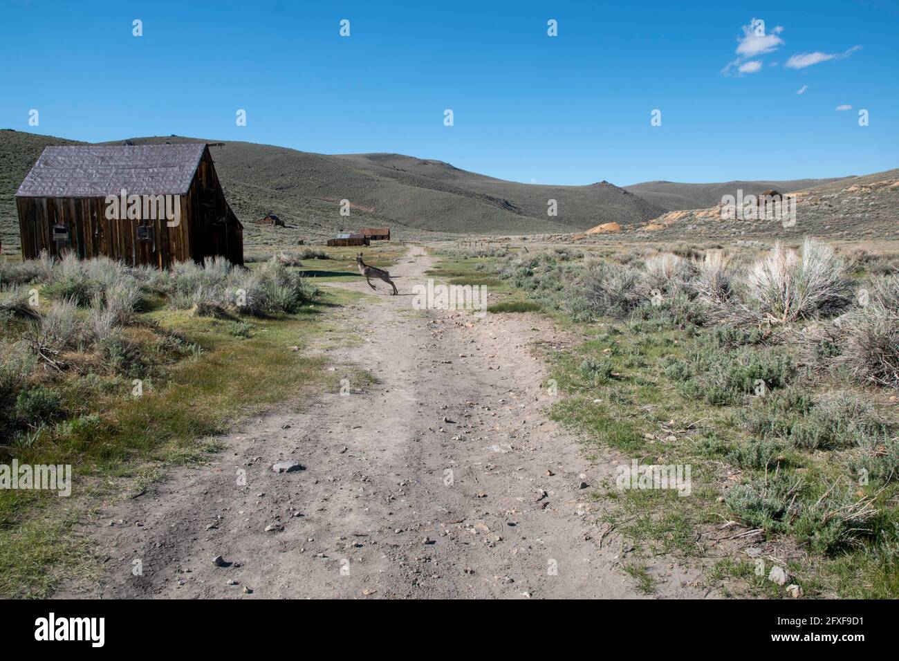 Bodie State Park is a wonderful place to learn about mining history in ...