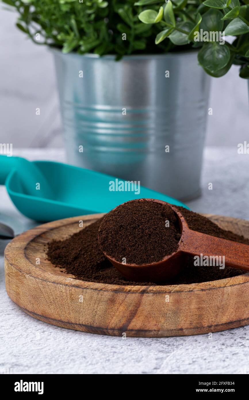 recycling coffee - wood spoon, wood bowl and capsule coffee Stock Photo ...