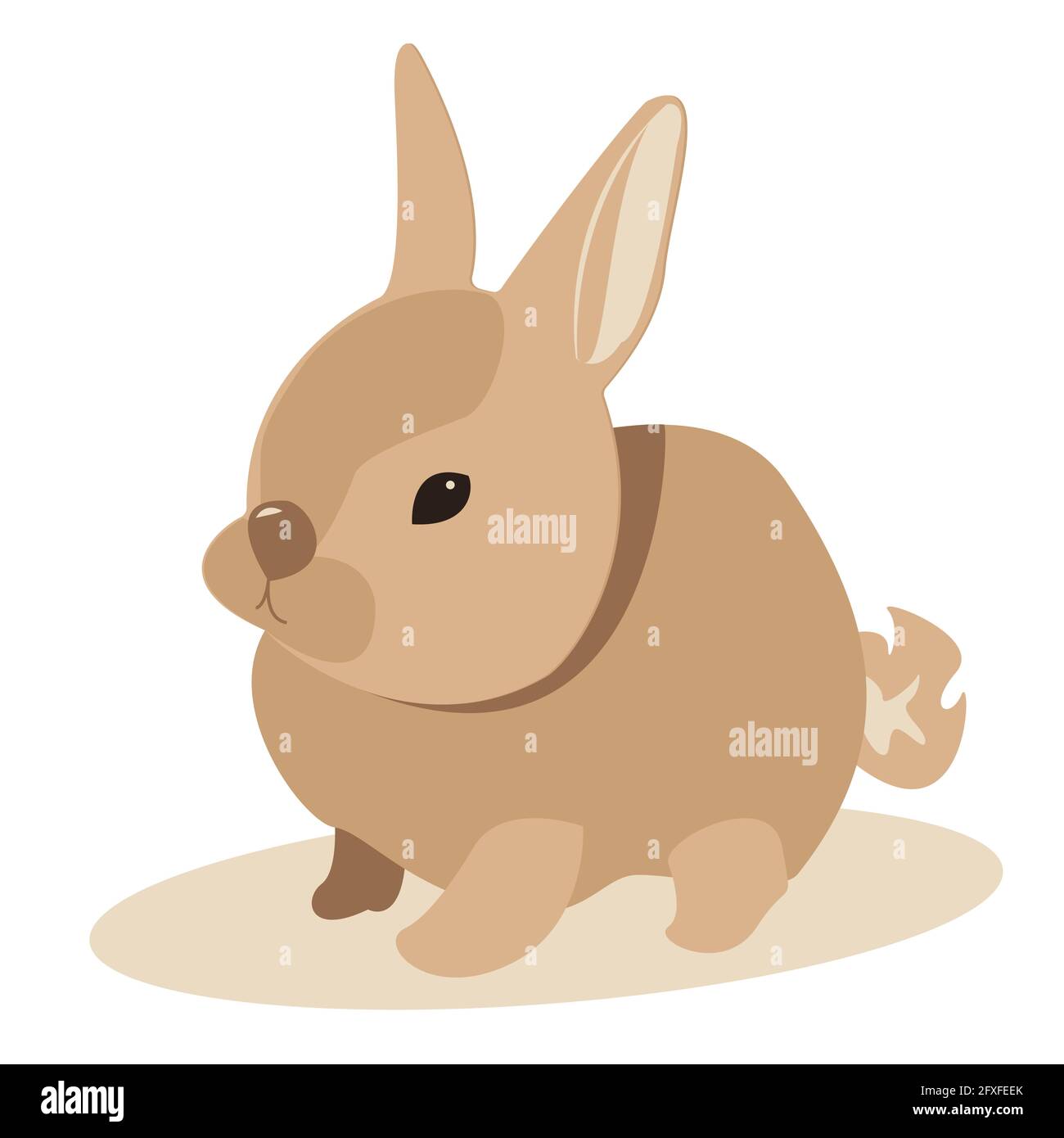 colorful cute rabbit cartoon on white background Stock Vector Image ...