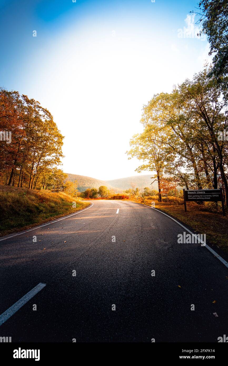 Road surrounded by colorful trees at suns Stock Photo - Alamy