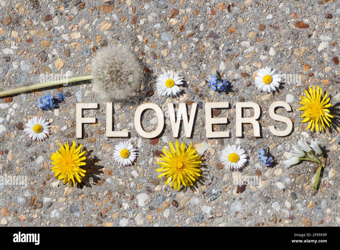 Flowers written in wooden letters and some flowers on stone pavement ...
