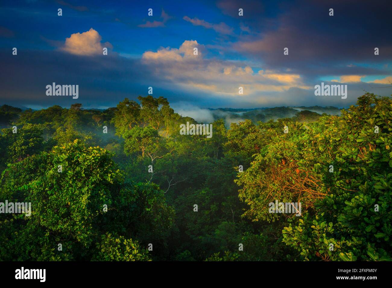 Panama landscape with beautiful warm early morming sunlight in the lush ...
